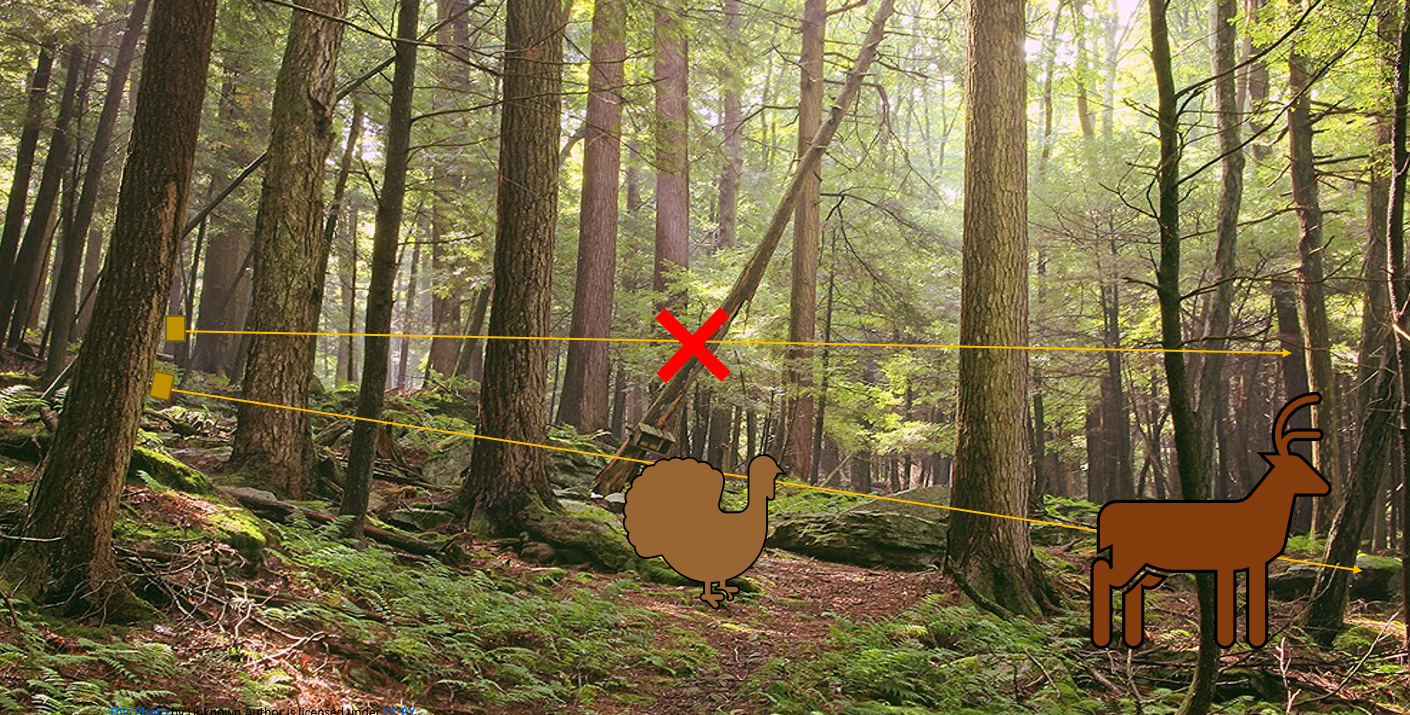 EDGE 2 PRO: Mounting My Camera – Moultrie Mobile